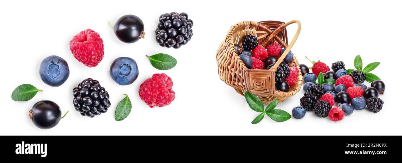 mix of blackberry blueberry raspberry isolated on white background. Top ...