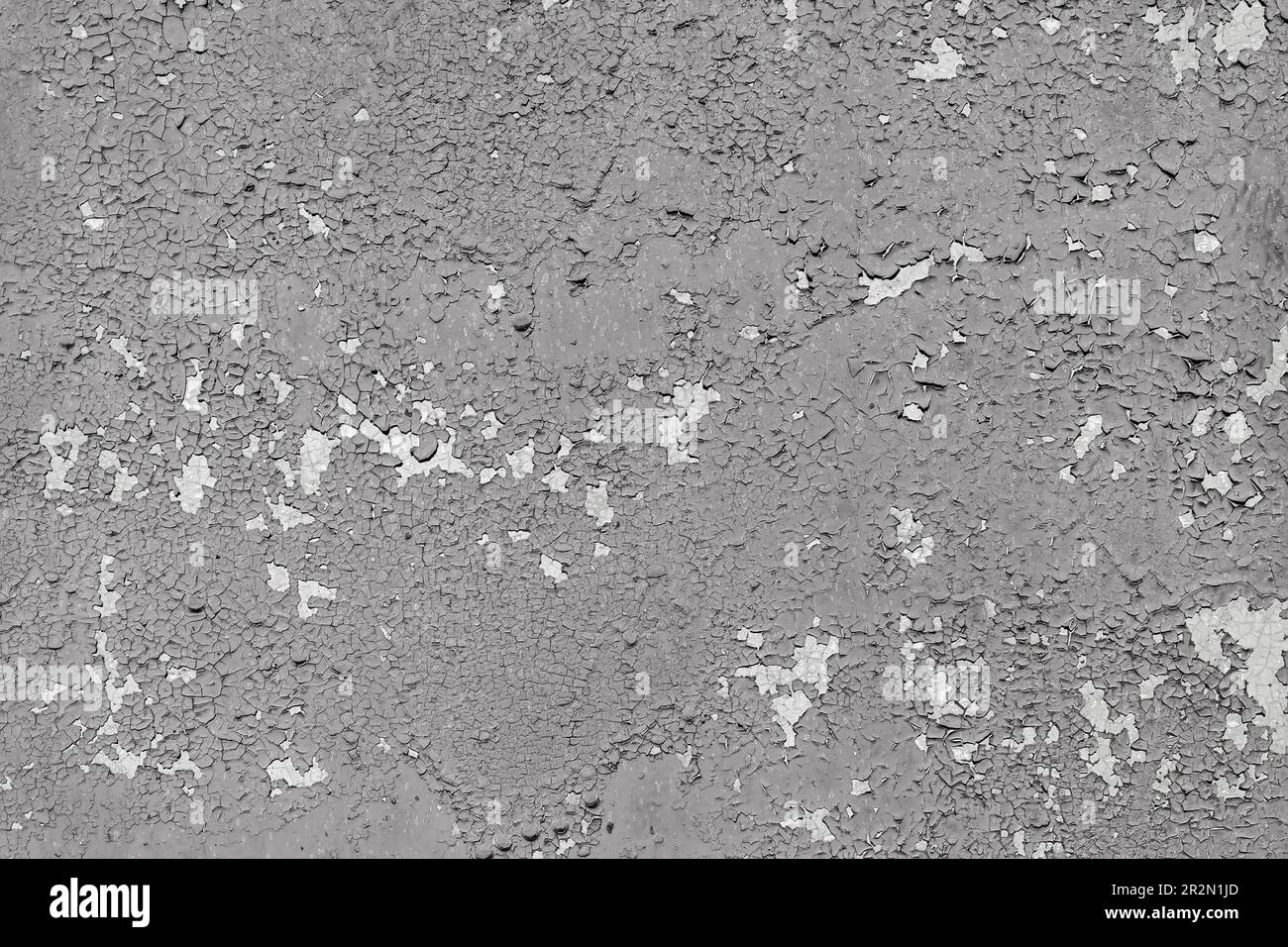 Goncrete wall with old cracked, peeling flaking gray paint. Weathered rough painted surface with ...