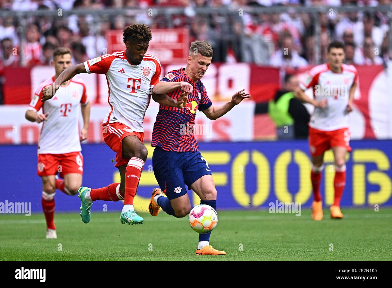 Dani olmo coman hi-res stock photography and images - Alamy