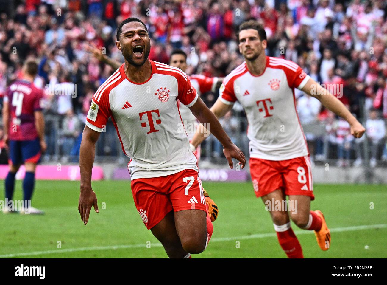 Munich, Germany. 20th May, 2023. Soccer: Bundesliga, Bayern Munich - RB Leipzig, Matchday 33 ...