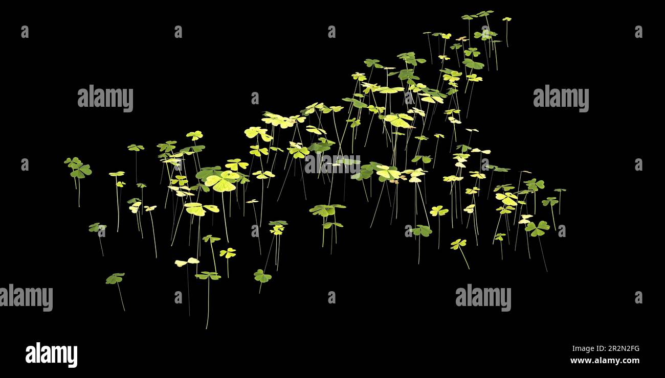 3d illustration of shamrock bush isolated on black background eyes ...