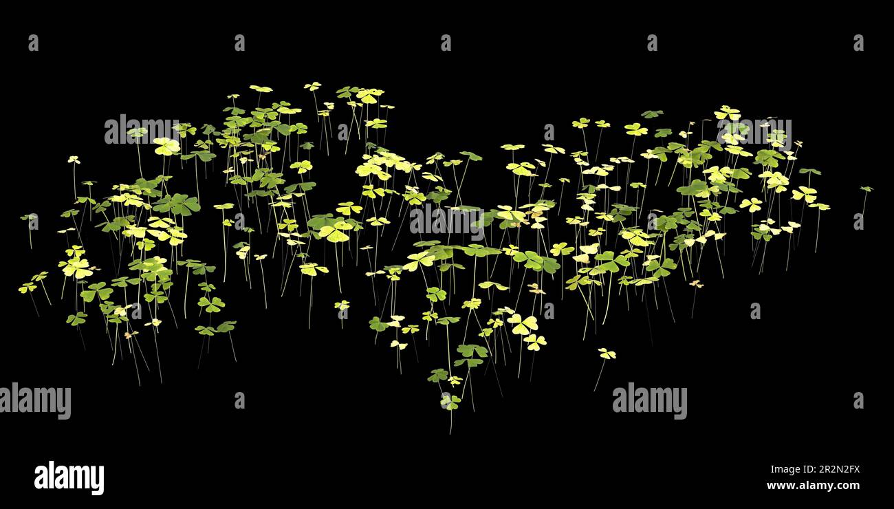 3d illustration of shamrock bush isolated on black background eyes ...
