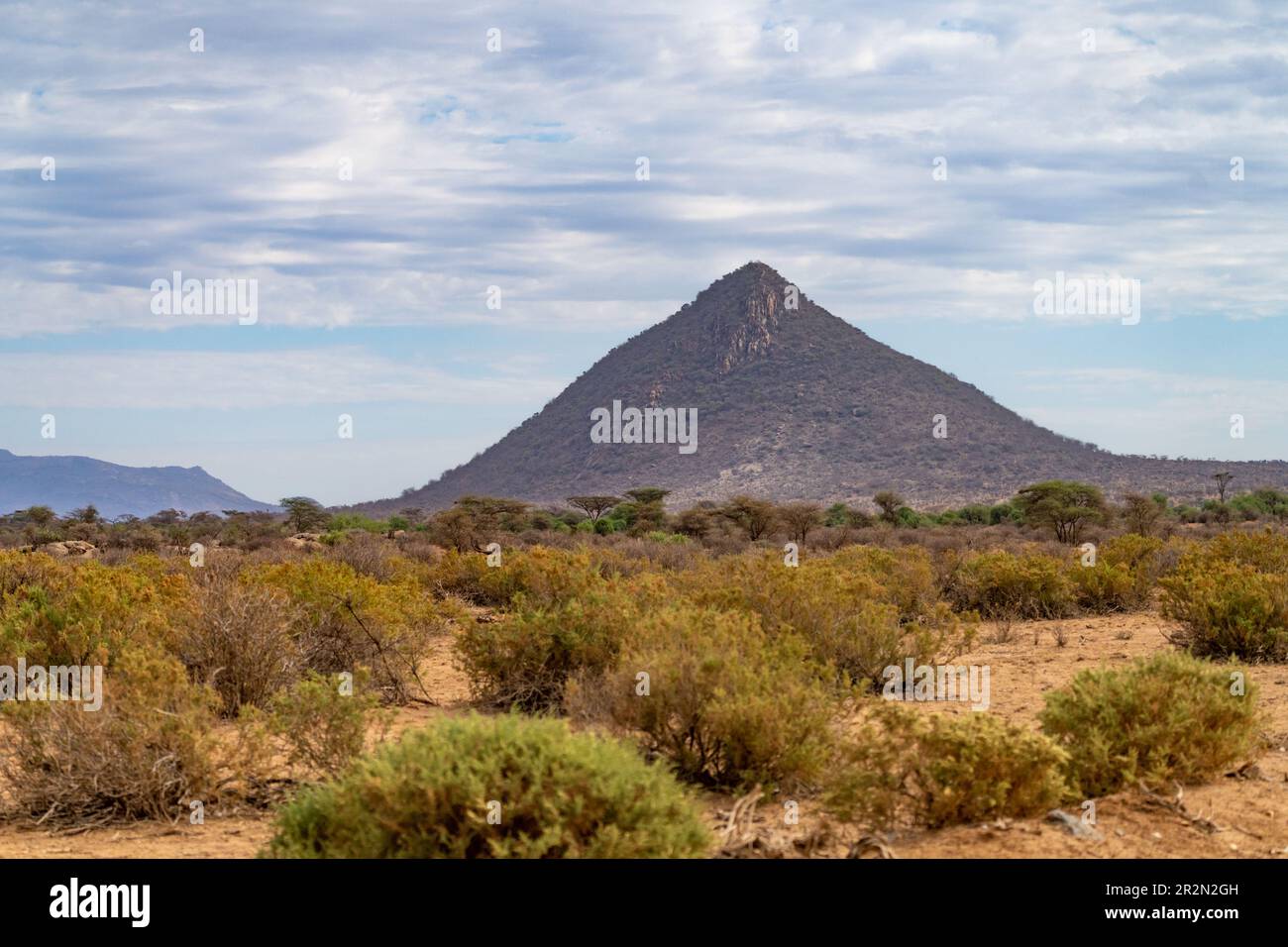 Samburu National Reserve, Rift Valley, Kenya, East Africa Stock Photo ...