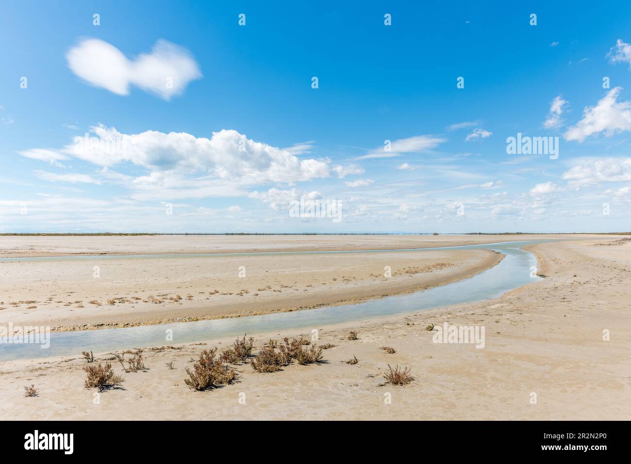Typical landscape in a lagoon of the Rhone delta in the Camargue ...