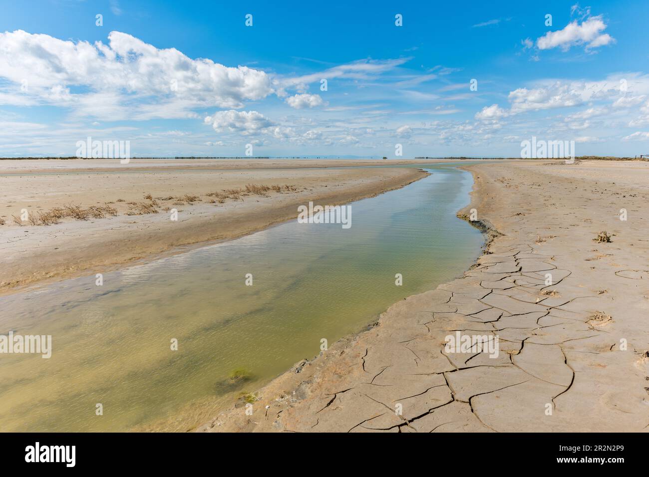Typical scene camargue hi-res stock photography and images - Alamy