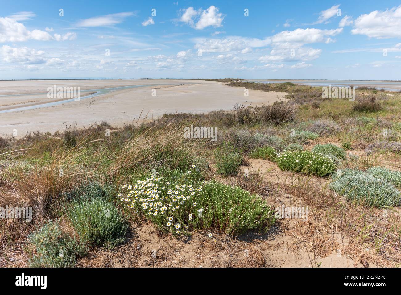 Ramsar wetland site hi-res stock photography and images - Alamy