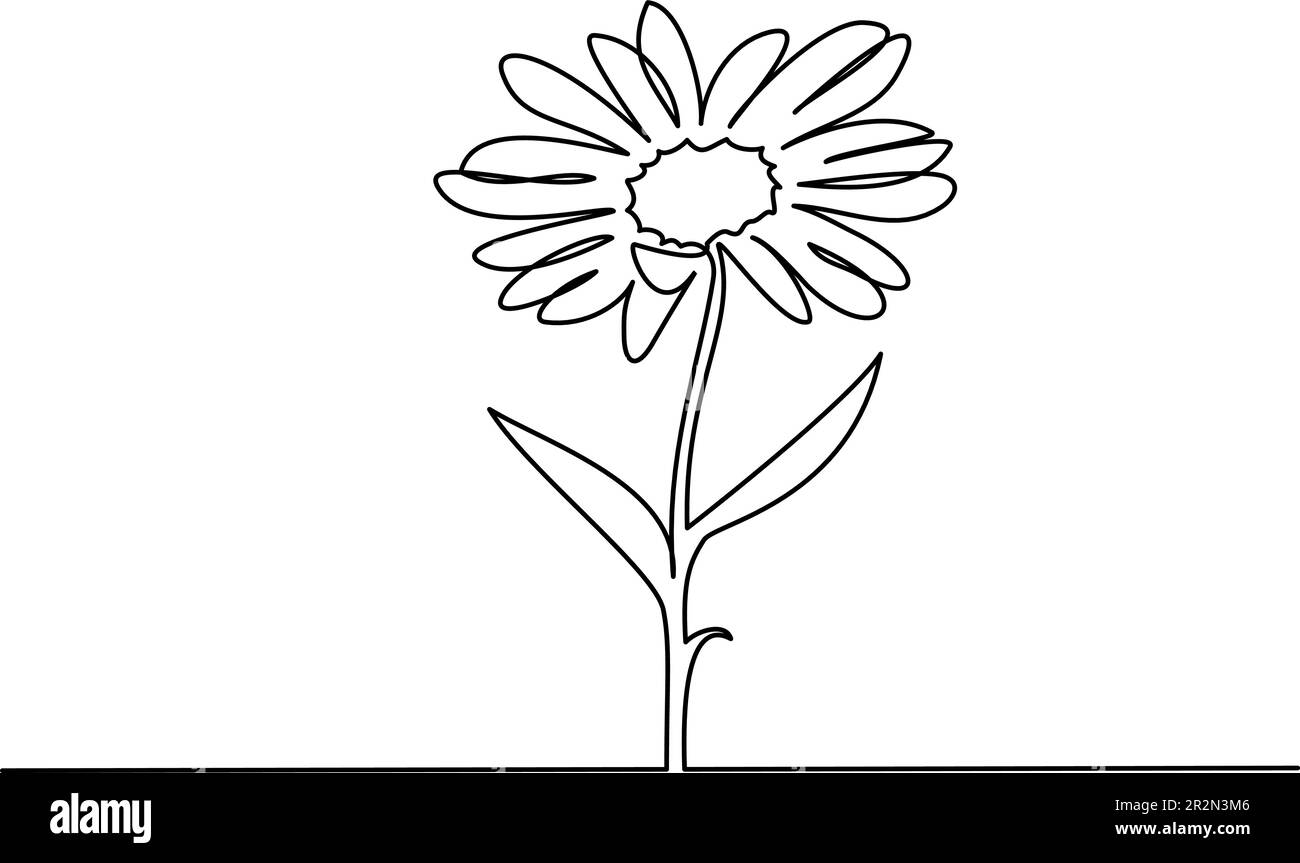Daisy Flower Sign Continuous One Line Art Drawing Style Chamomile