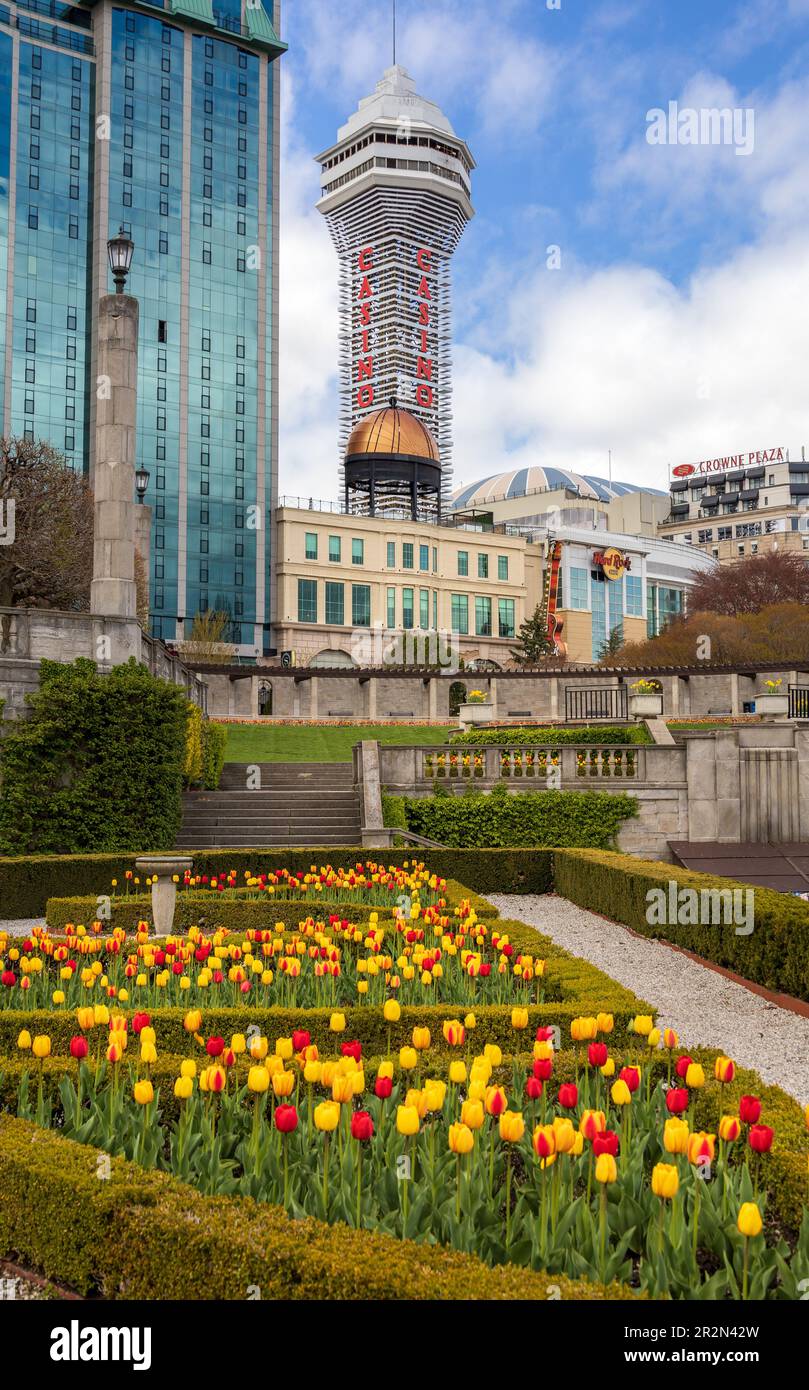Springtime Tulips In The Oakes Garden Theatre Niagara Falls Canada ...