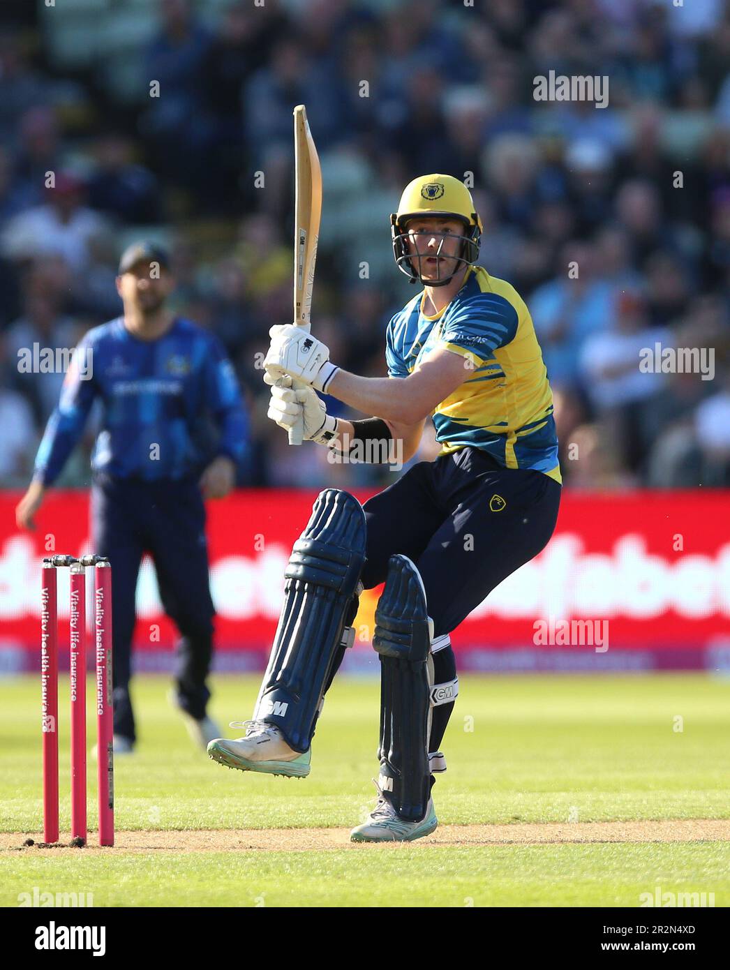 Rob yates bears hi-res stock photography and images - Alamy