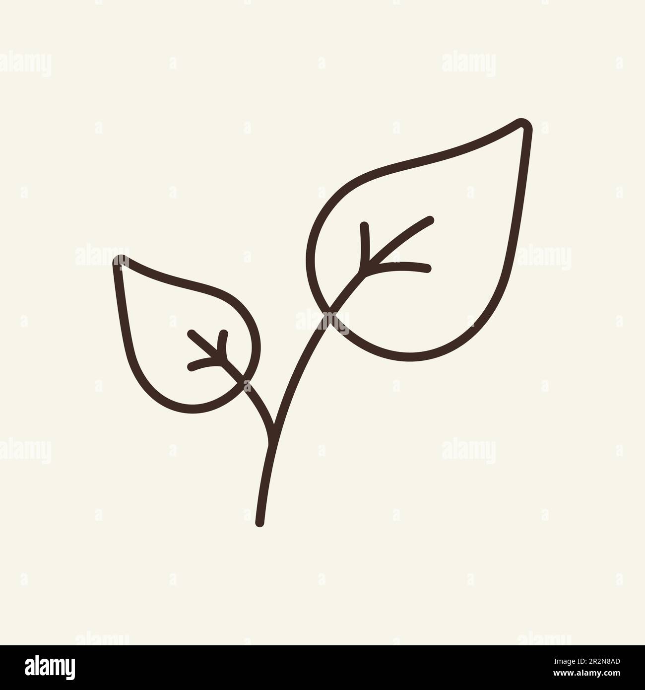 Two linear leaves hi-res stock photography and images - Alamy