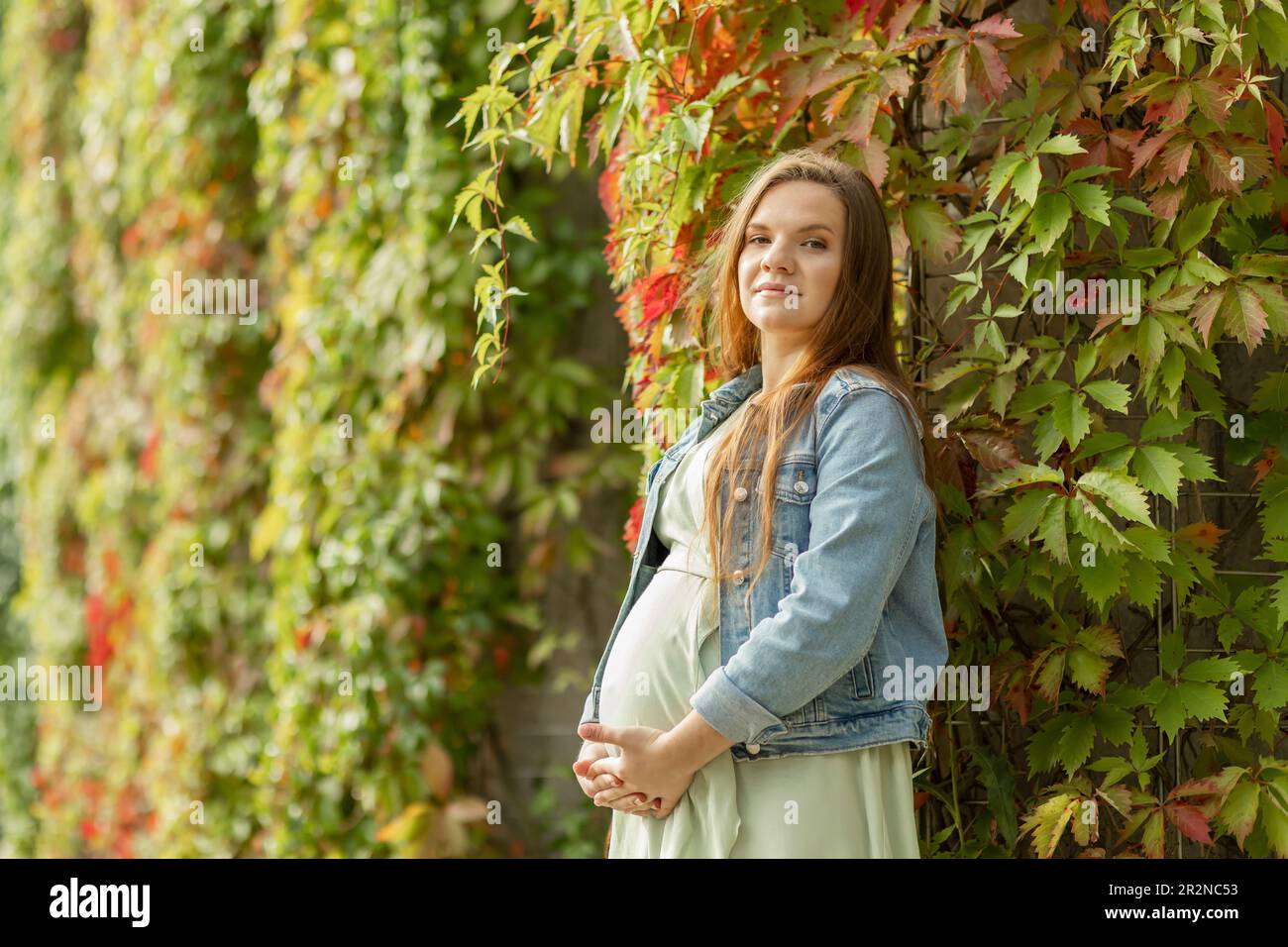 Overgrown park stand hi-res stock photography and images - Alamy