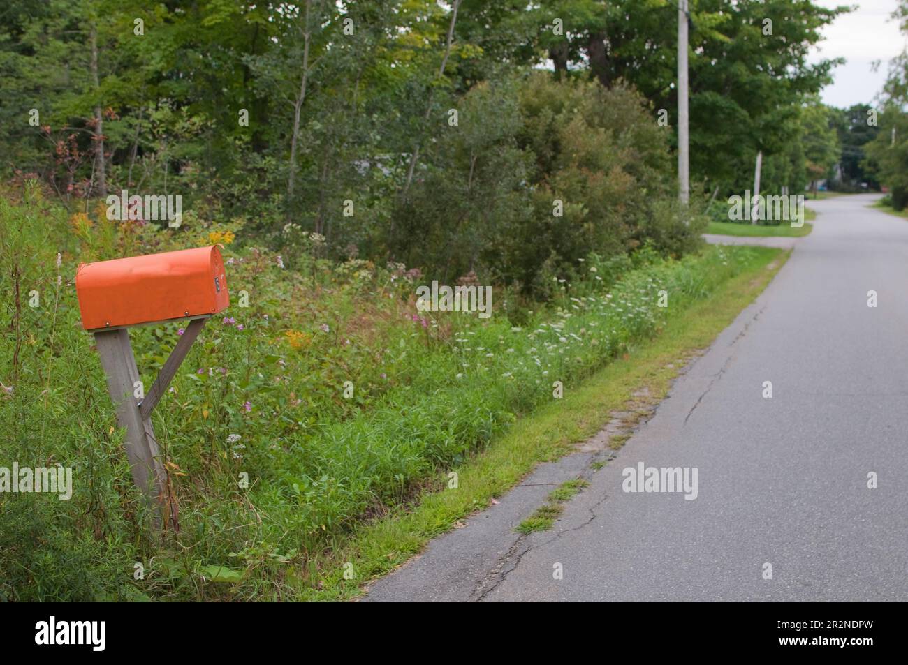 Orange rural mailbox in a rural landscape. Green land along an empty ...