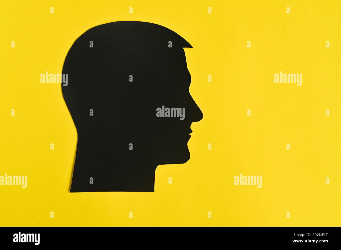 Man Head Silhouette Facing Left