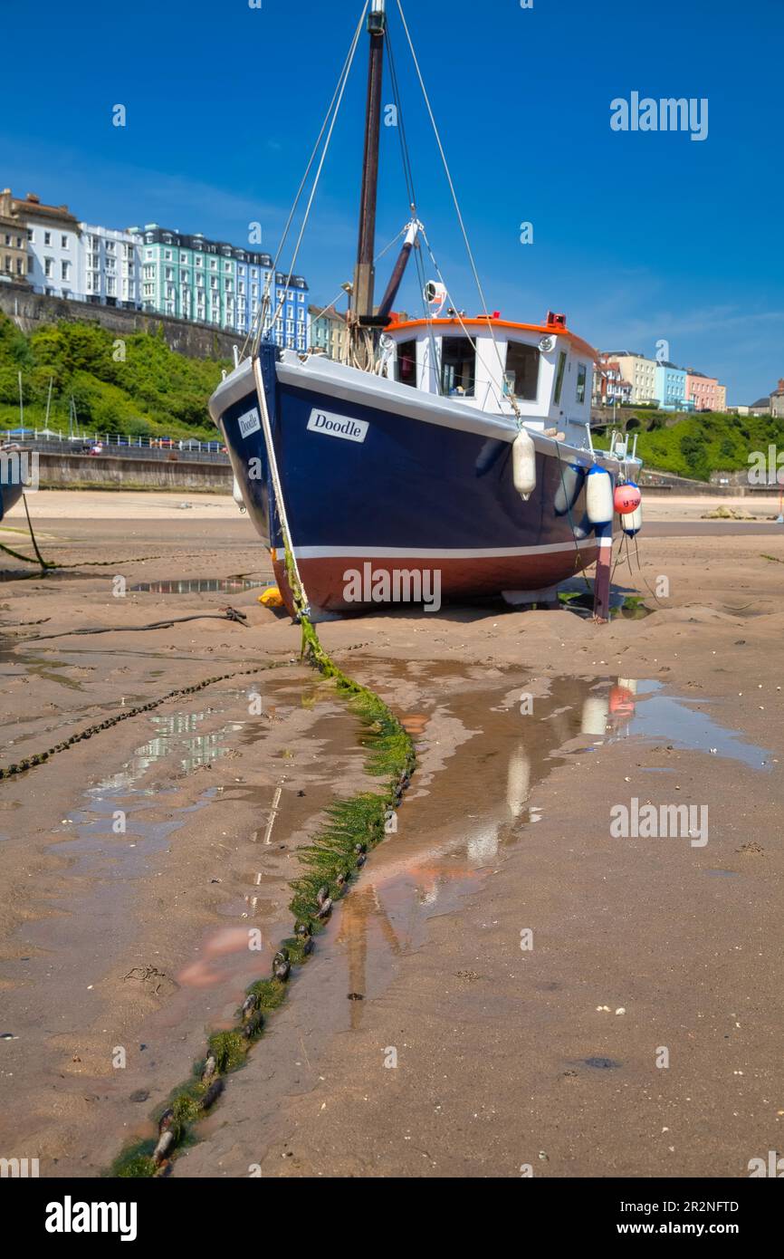 Boat at low tide in Tenby Harbour, Pembrokeshire, Wales, UK Stock Photo ...