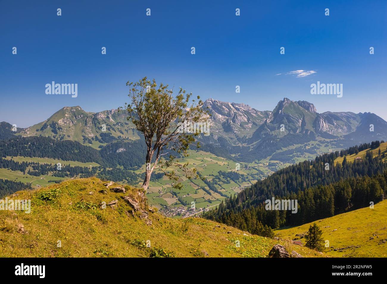 View of the Alpstein with Saentis, Wildhaus, Toggenburg, Canton St ...