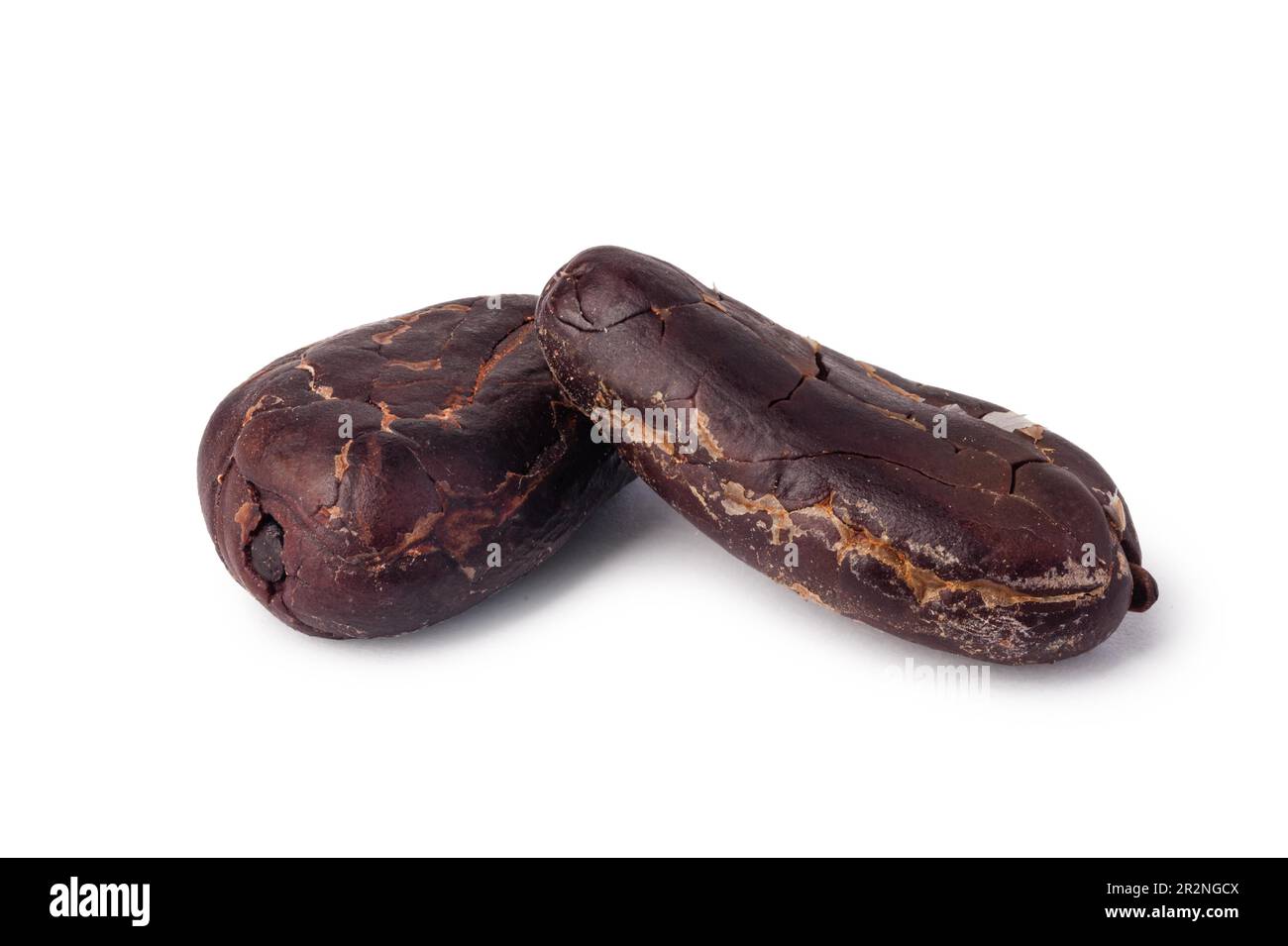 Cocoa beans Isolated on white background Stock Photo - Alamy