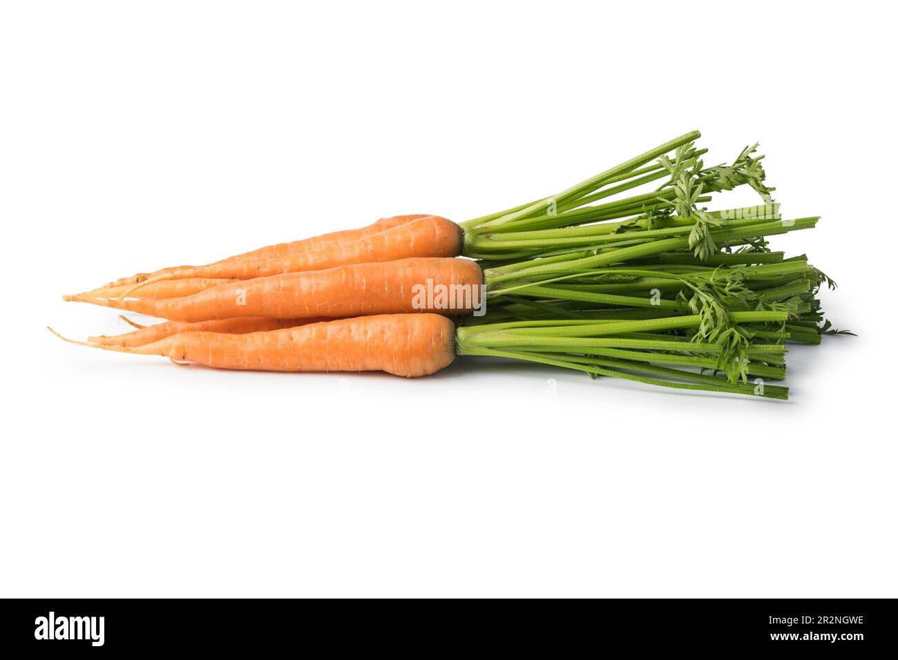 View on a withe background hi-res stock photography and images - Alamy