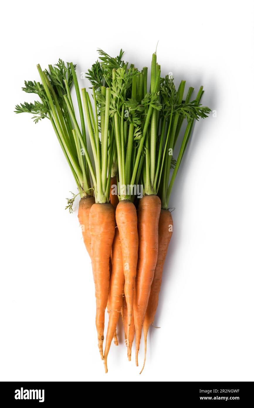 Carrot view hi-res stock photography and images - Alamy