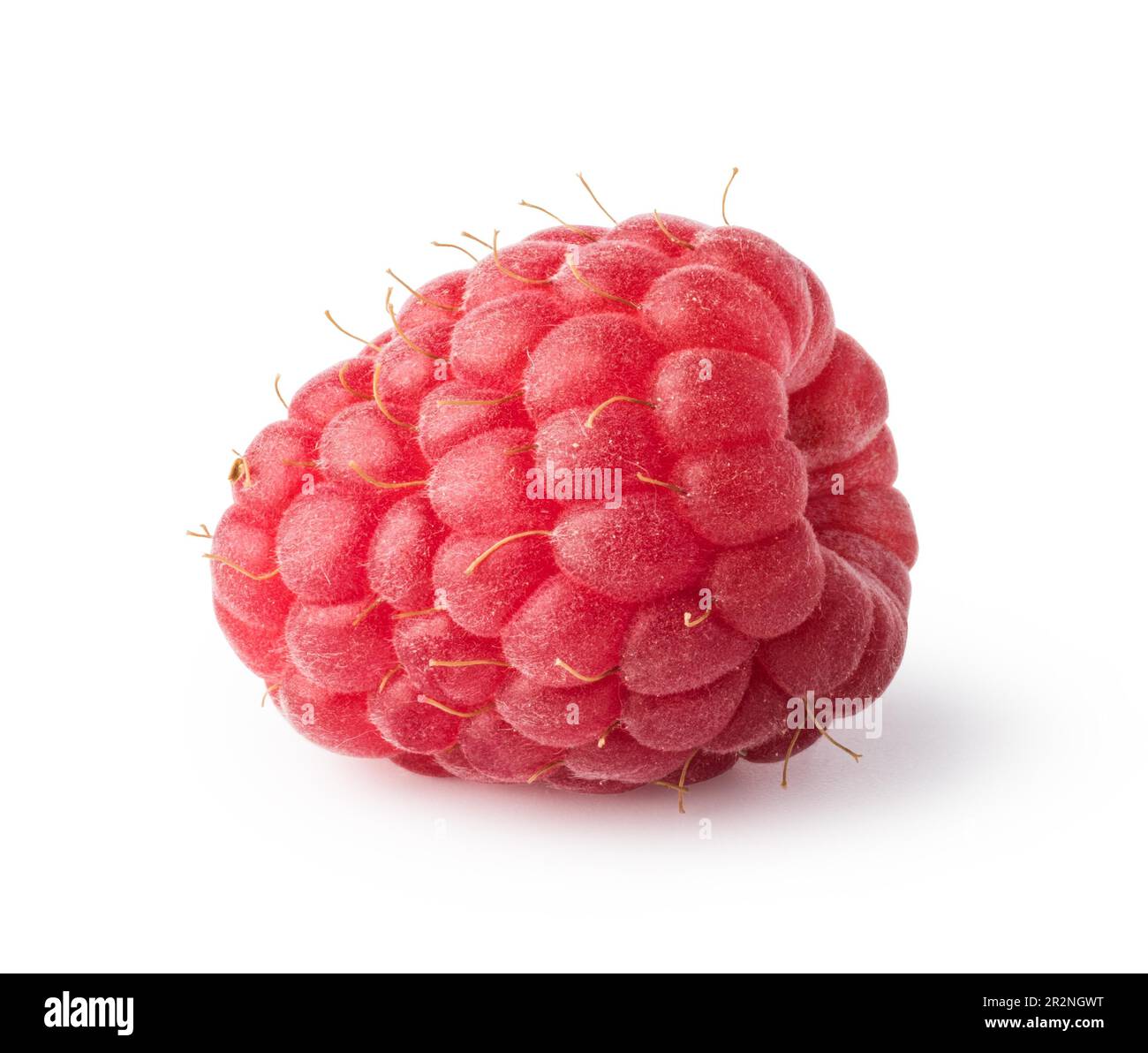 ripe raspberry isolated on white background Stock Photo - Alamy