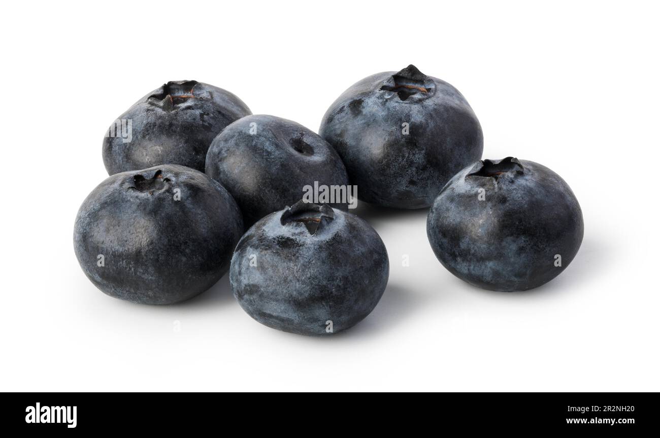 Blueberry. Fresh berries isolated on white background Stock Photo - Alamy