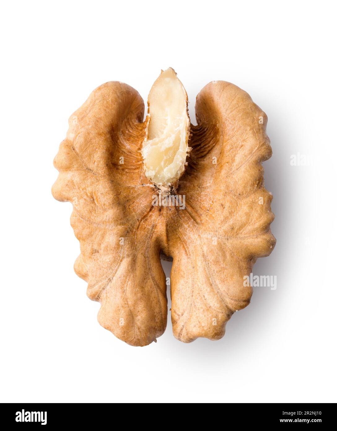 Walnuts kernel isolated on white background Stock Photo - Alamy