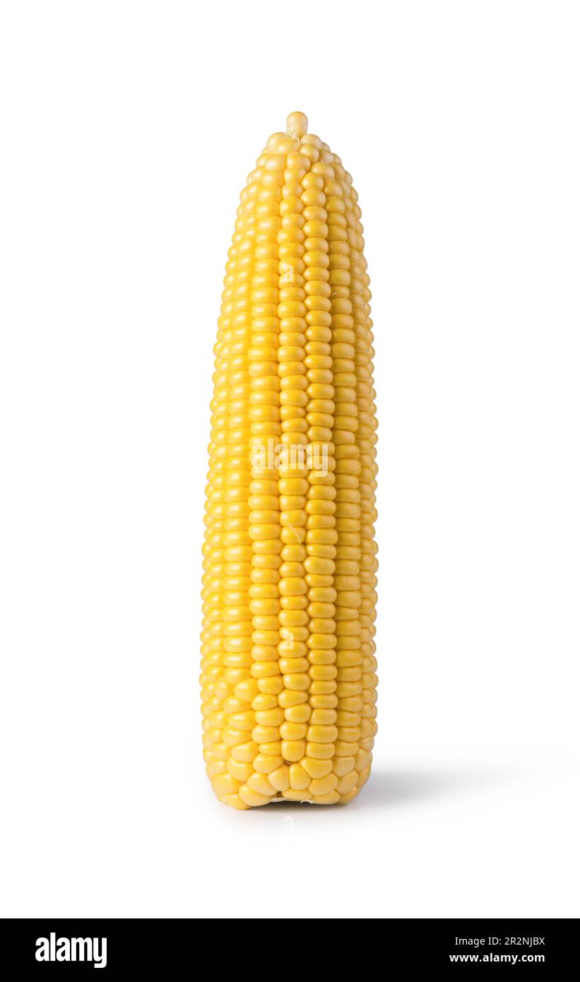 cob corn isolated on white background Stock Photo - Alamy