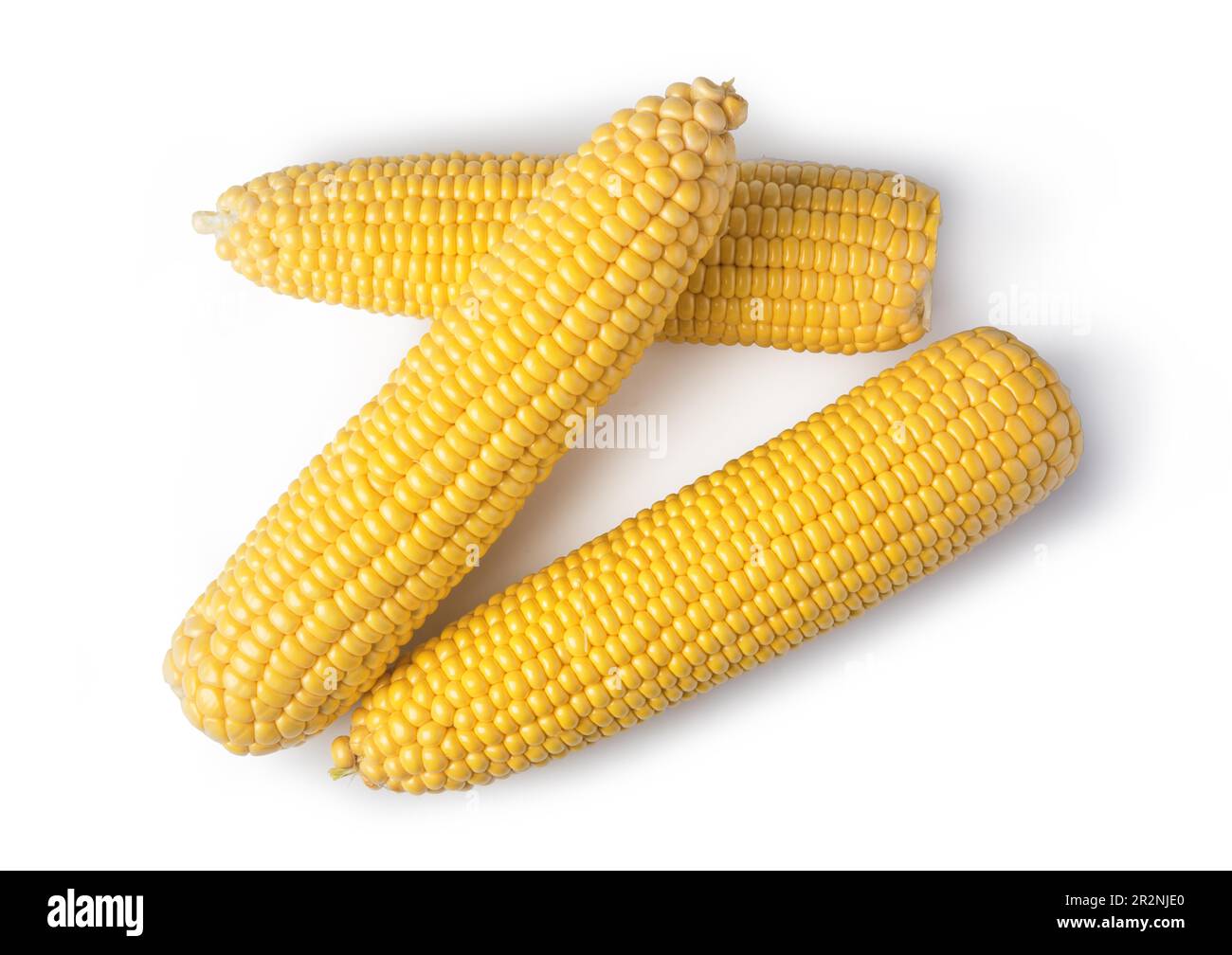 cob corn isolated on white background Stock Photo - Alamy
