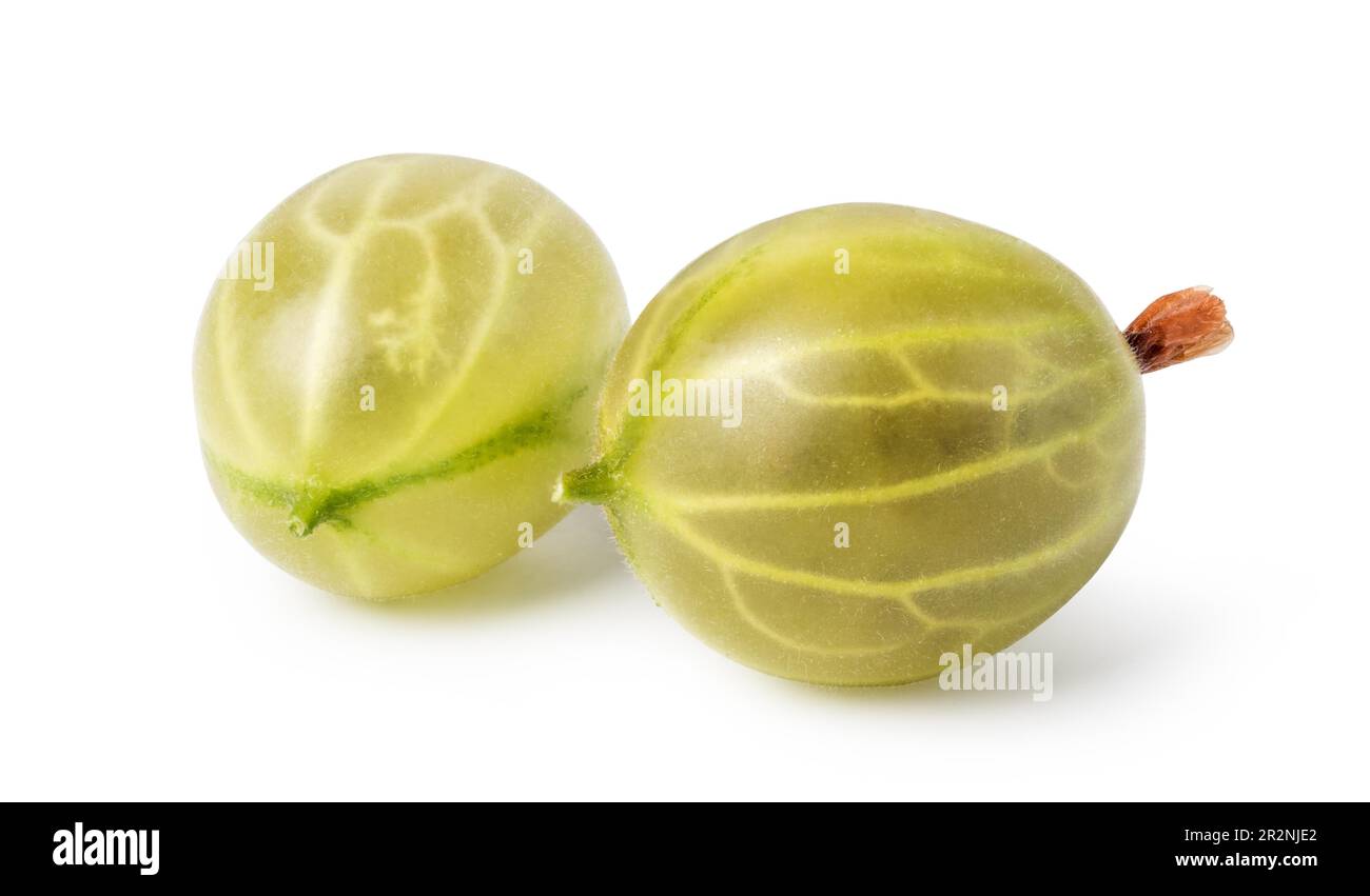 gooseberry isolated on white background Stock Photo - Alamy