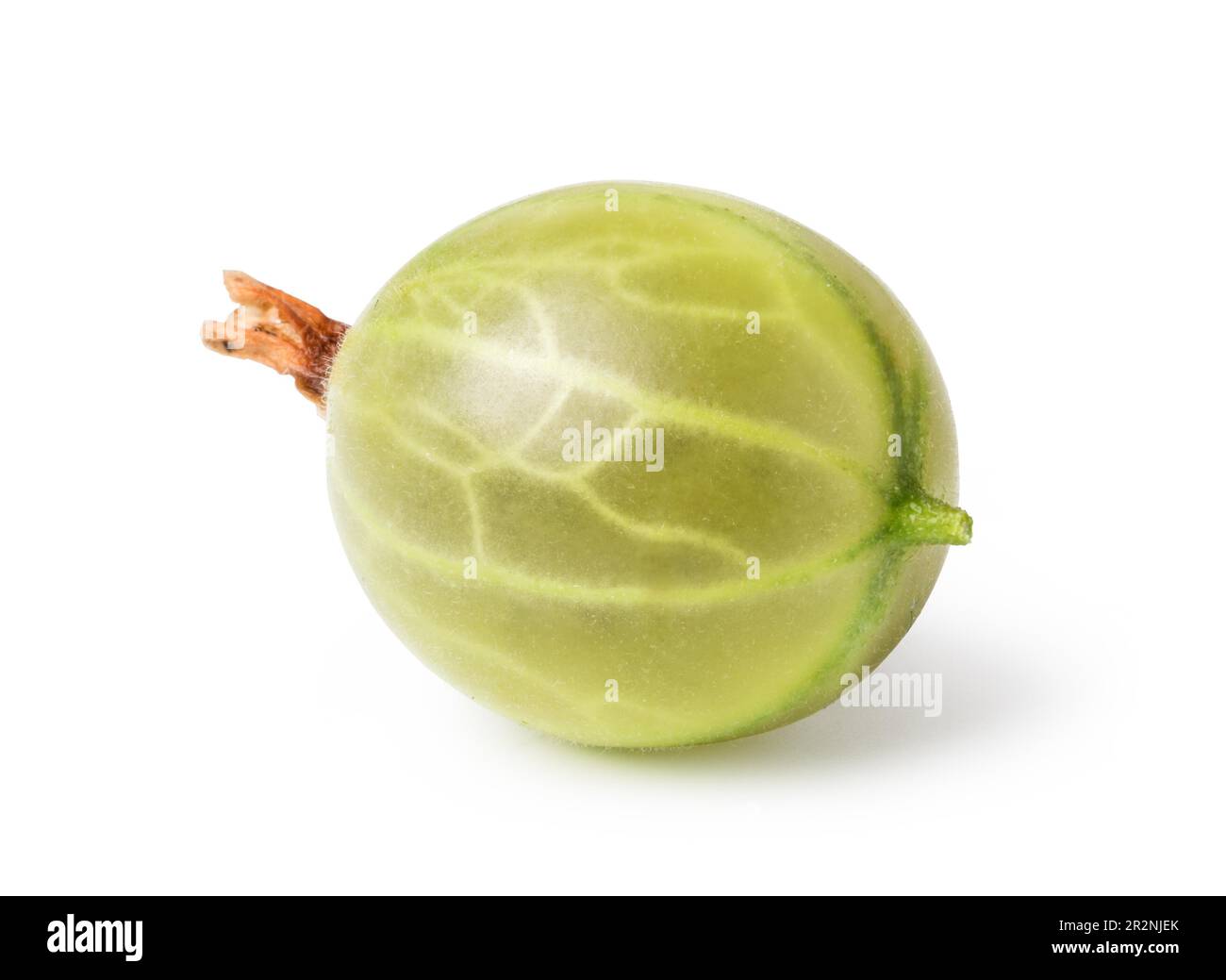gooseberry isolated on white background Stock Photo - Alamy