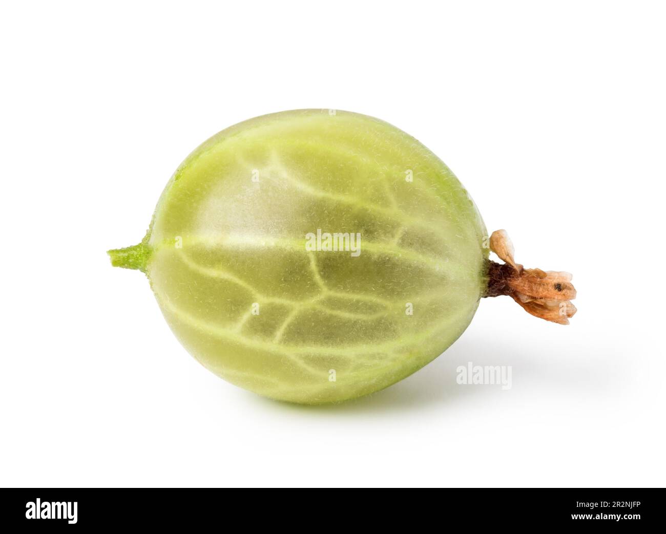 gooseberry isolated on white background Stock Photo - Alamy