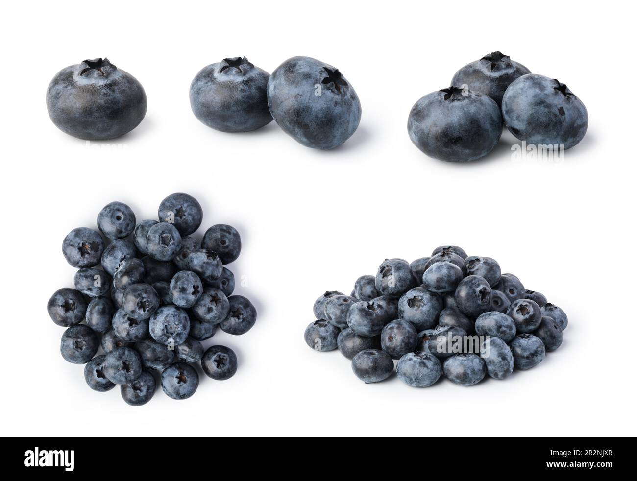 Blueberry. Fresh berries isolated on white background Stock Photo - Alamy