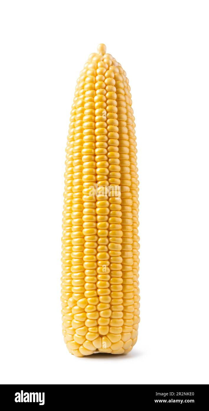 cob corn isolated on white background Stock Photo - Alamy