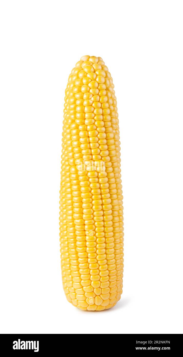 cob corn isolated on white background Stock Photo - Alamy