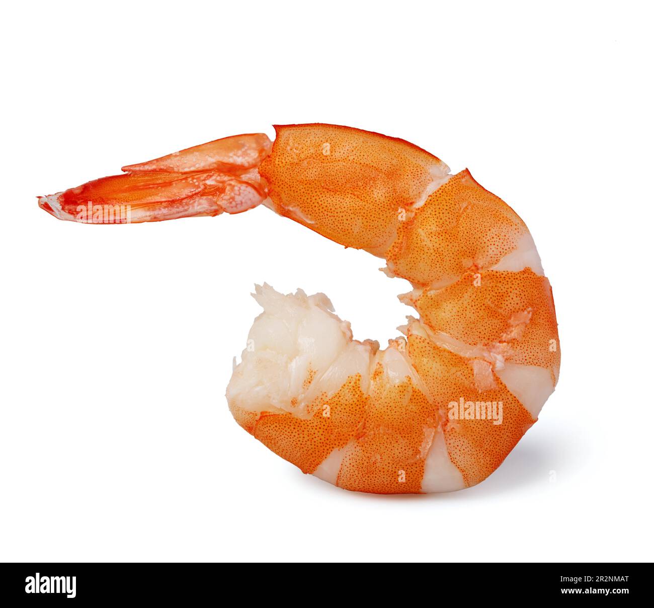 shrimp isolated on a white background Stock Photo - Alamy