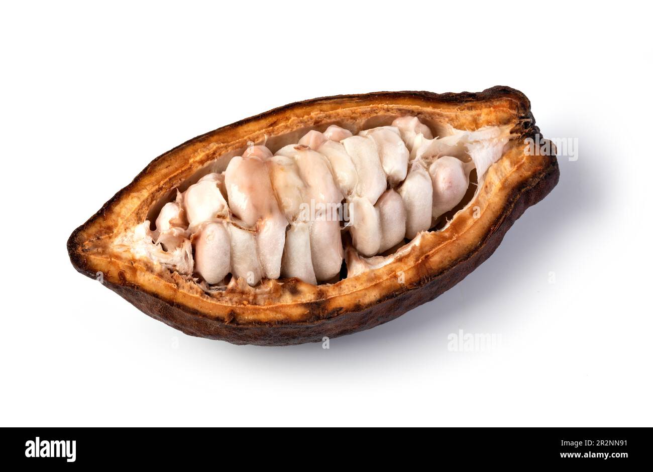 Cocoa pod on a isolated white background Stock Photo - Alamy