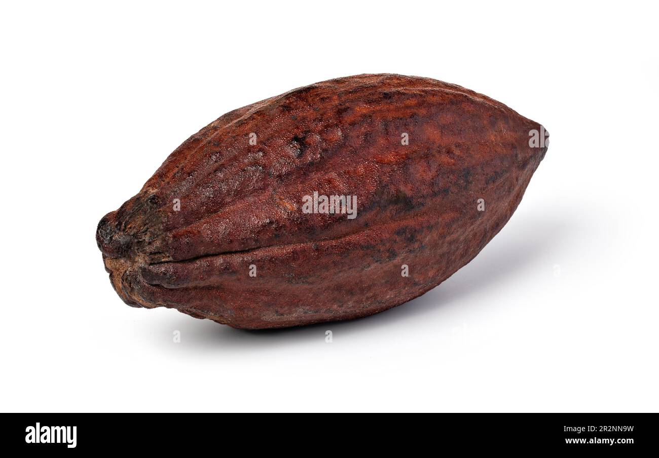 Cocoa pod on a isolated white background Stock Photo - Alamy