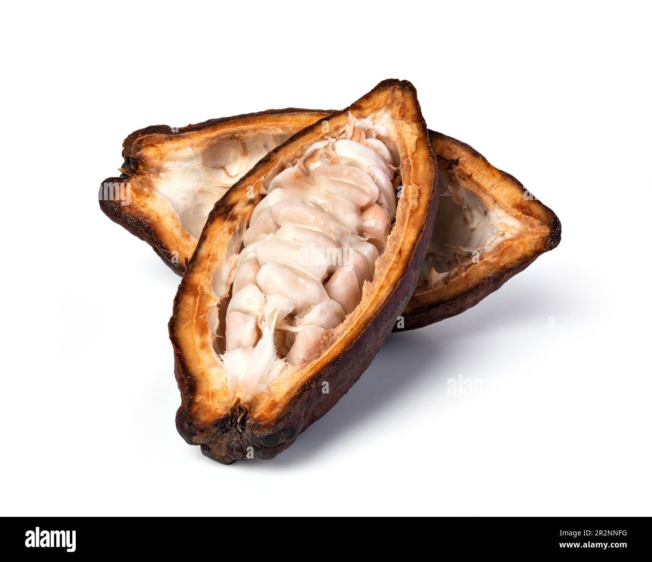Cocoa pod on a isolated white background Stock Photo - Alamy
