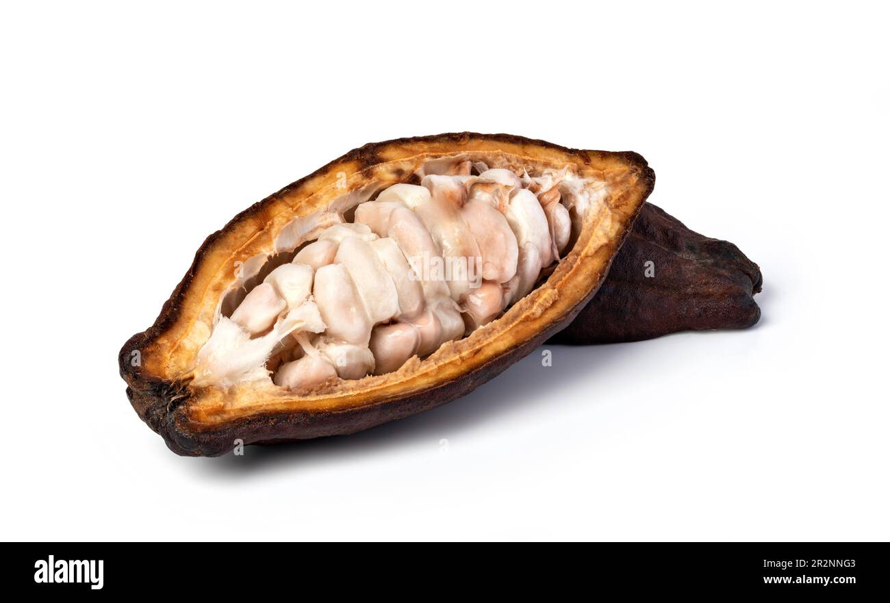 Cocoa pod on a isolated white background Stock Photo - Alamy
