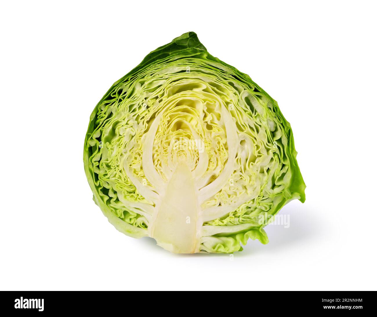 Kale on light background Cut Out Stock Images & Pictures - Alamy