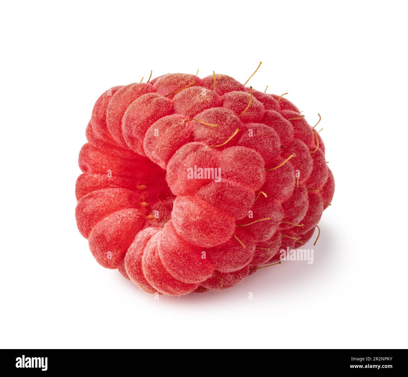 ripe raspberry isolated on white background Stock Photo - Alamy