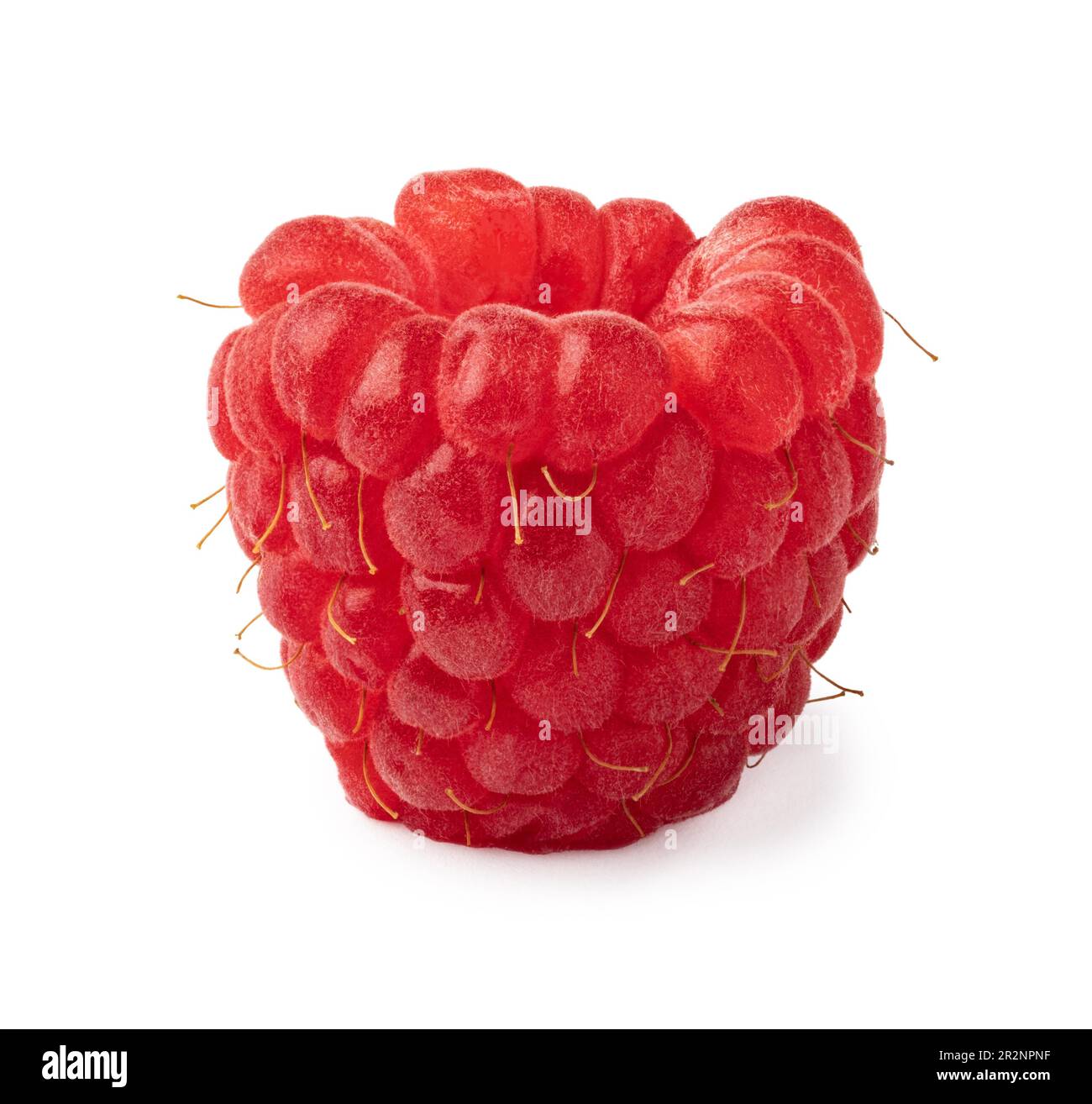ripe raspberry isolated on white background Stock Photo - Alamy