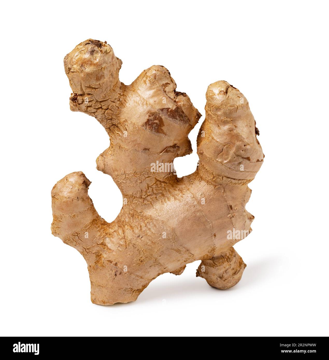 fresh ginger isolated on white background Stock Photo - Alamy