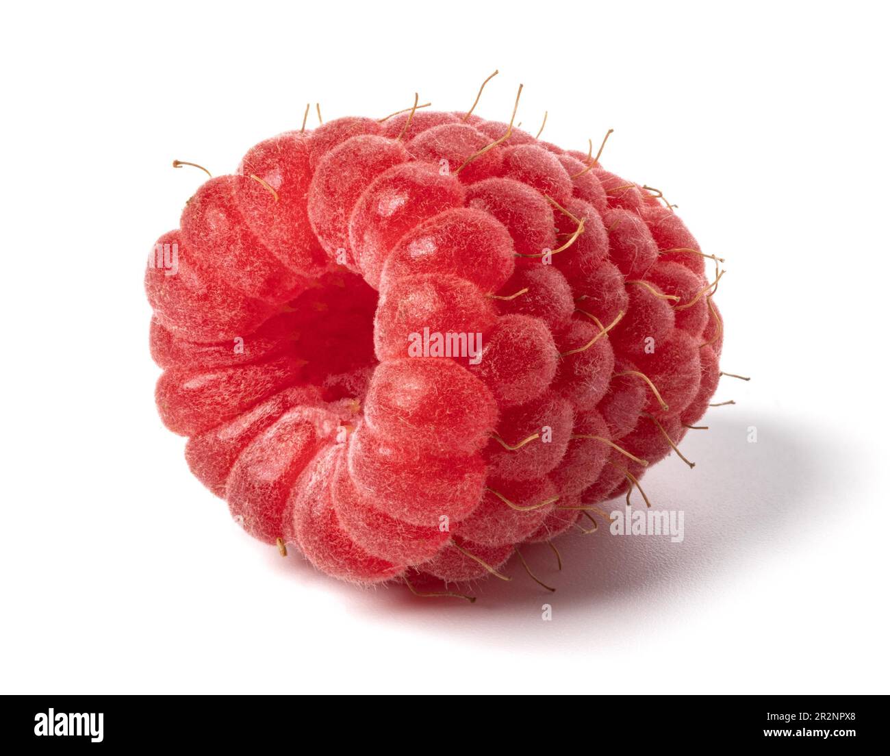 ripe raspberry isolated on white background Stock Photo - Alamy
