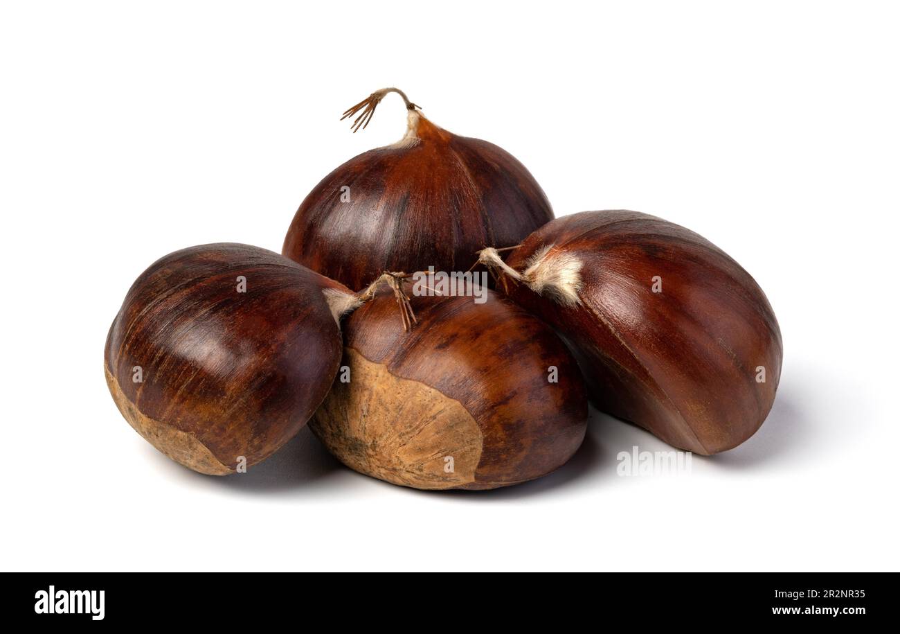 Fresh edible chestnut isolated on white background Stock Photo - Alamy