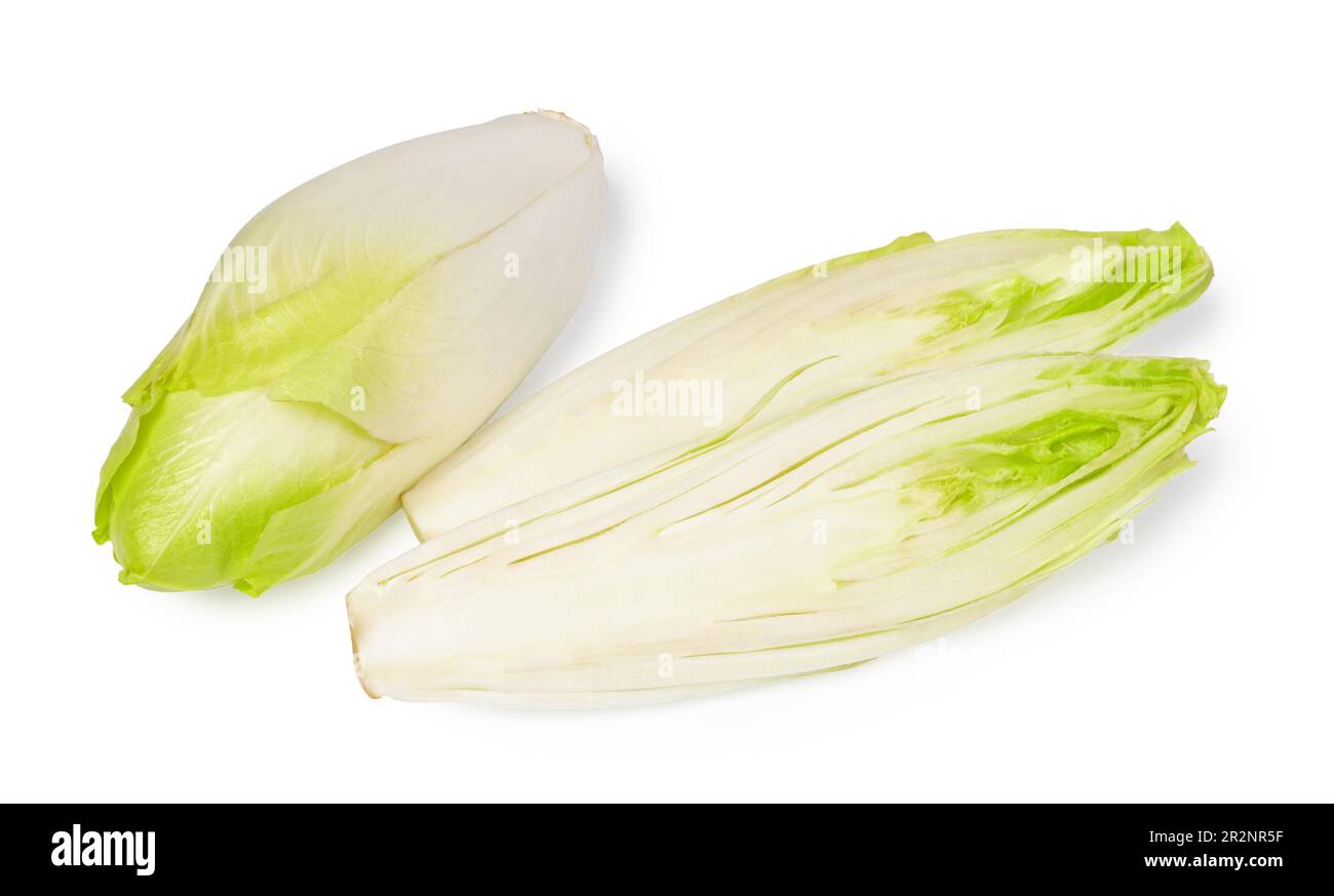 Fresh endive on white background Stock Photo - Alamy