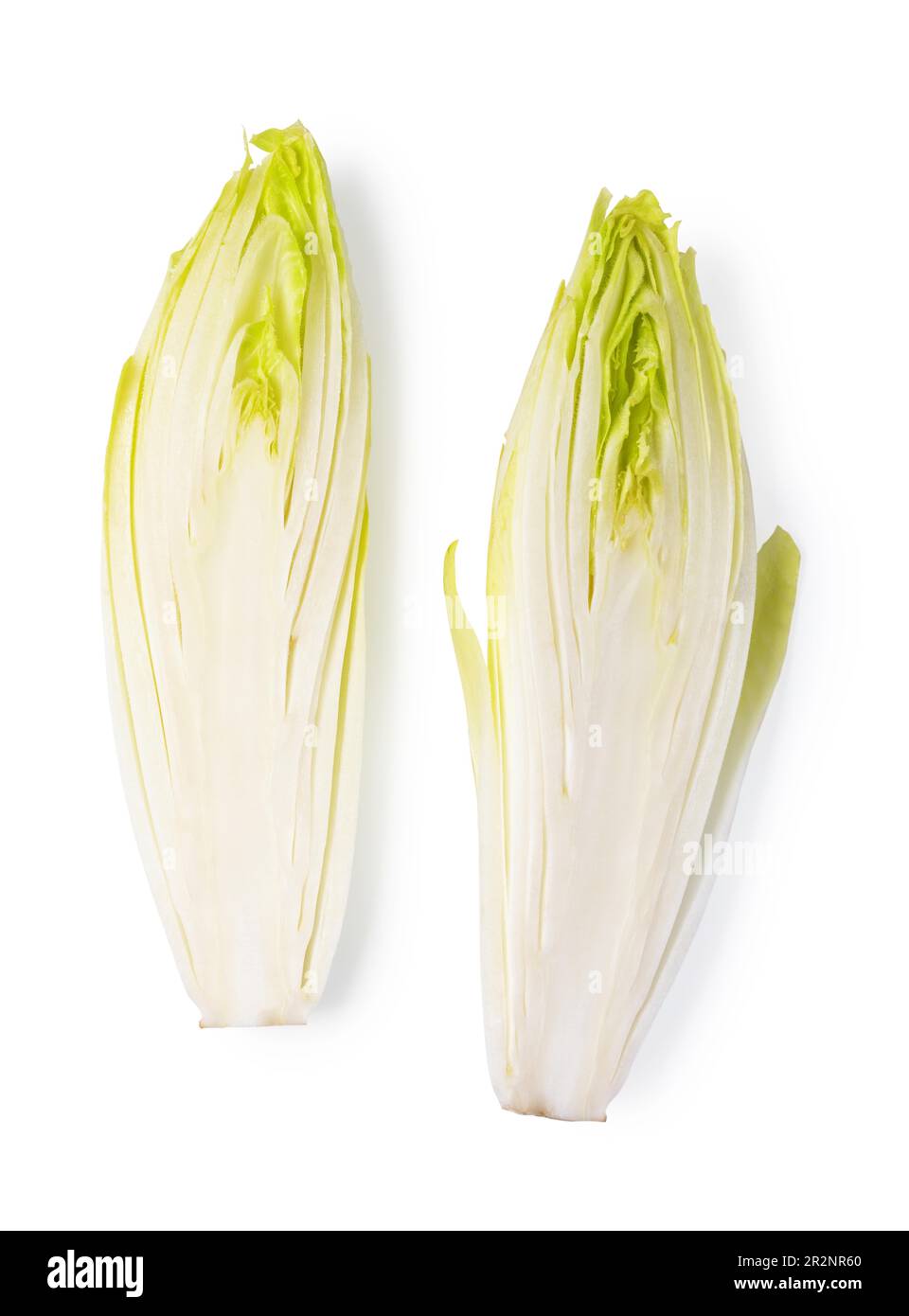 Cichorium endive hi-res stock photography and images - Alamy
