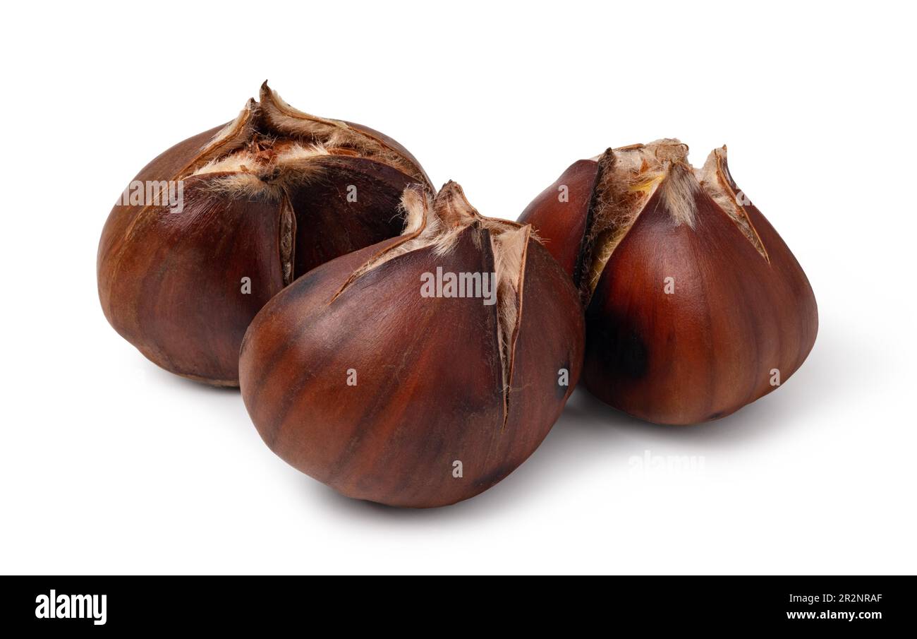 Fresh edible chestnut isolated on white background Stock Photo - Alamy