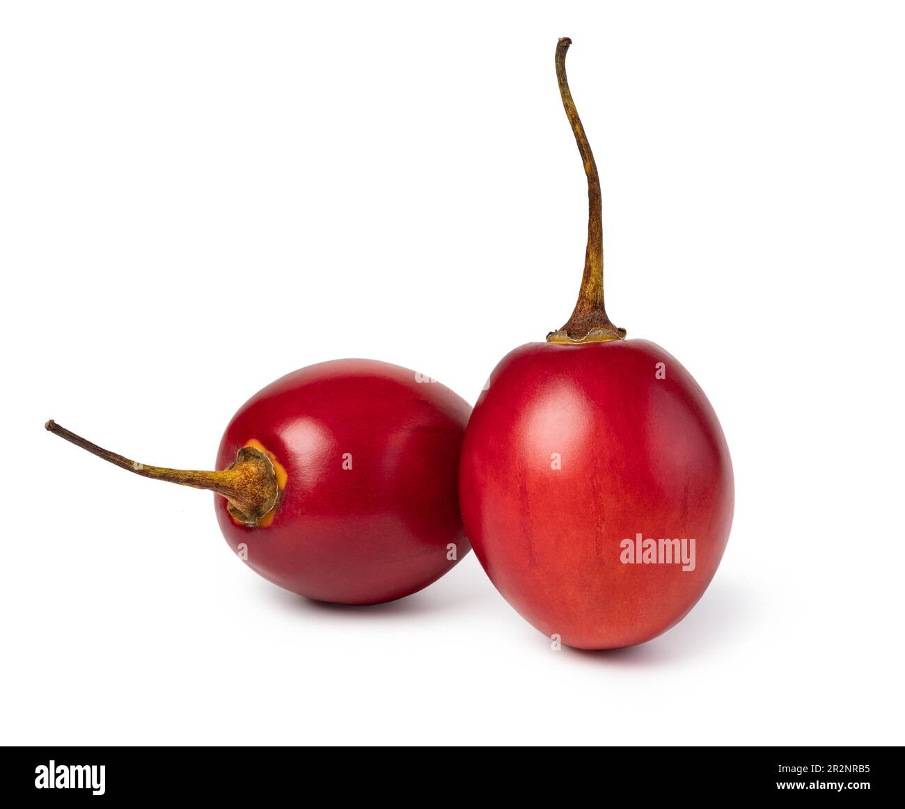 Tamarillo isolated on White background Stock Photo - Alamy