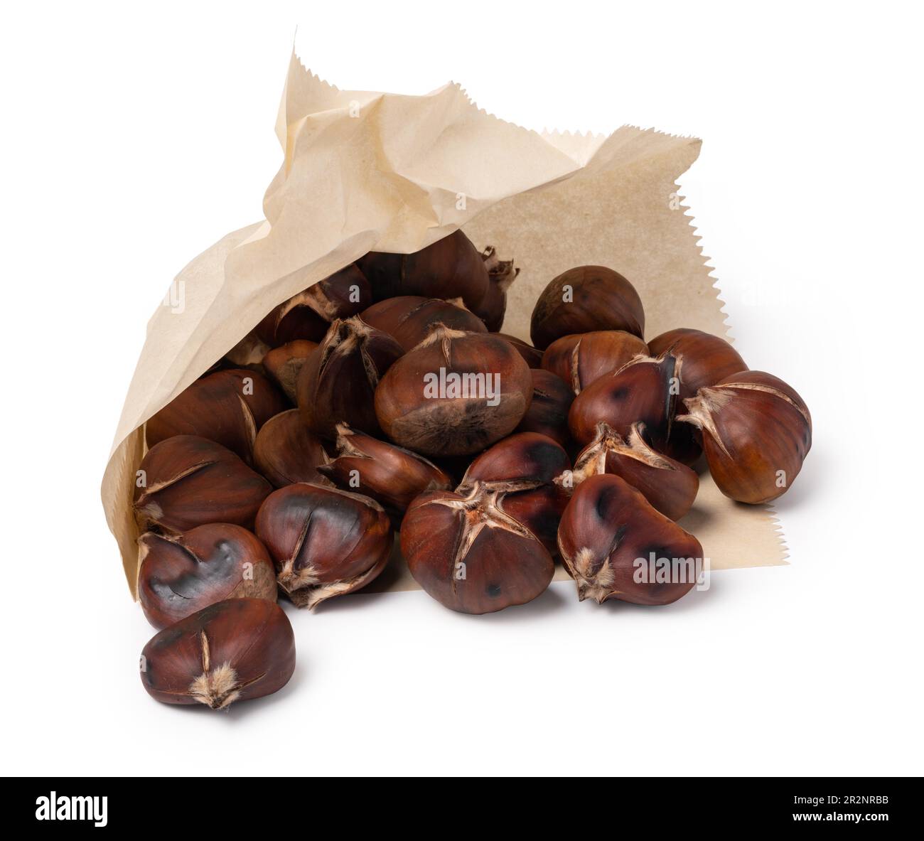 Fresh edible chestnut isolated on white background Stock Photo - Alamy