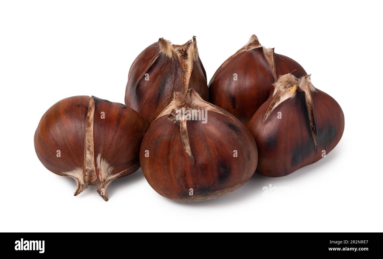 Fresh edible chestnut isolated on white background Stock Photo - Alamy